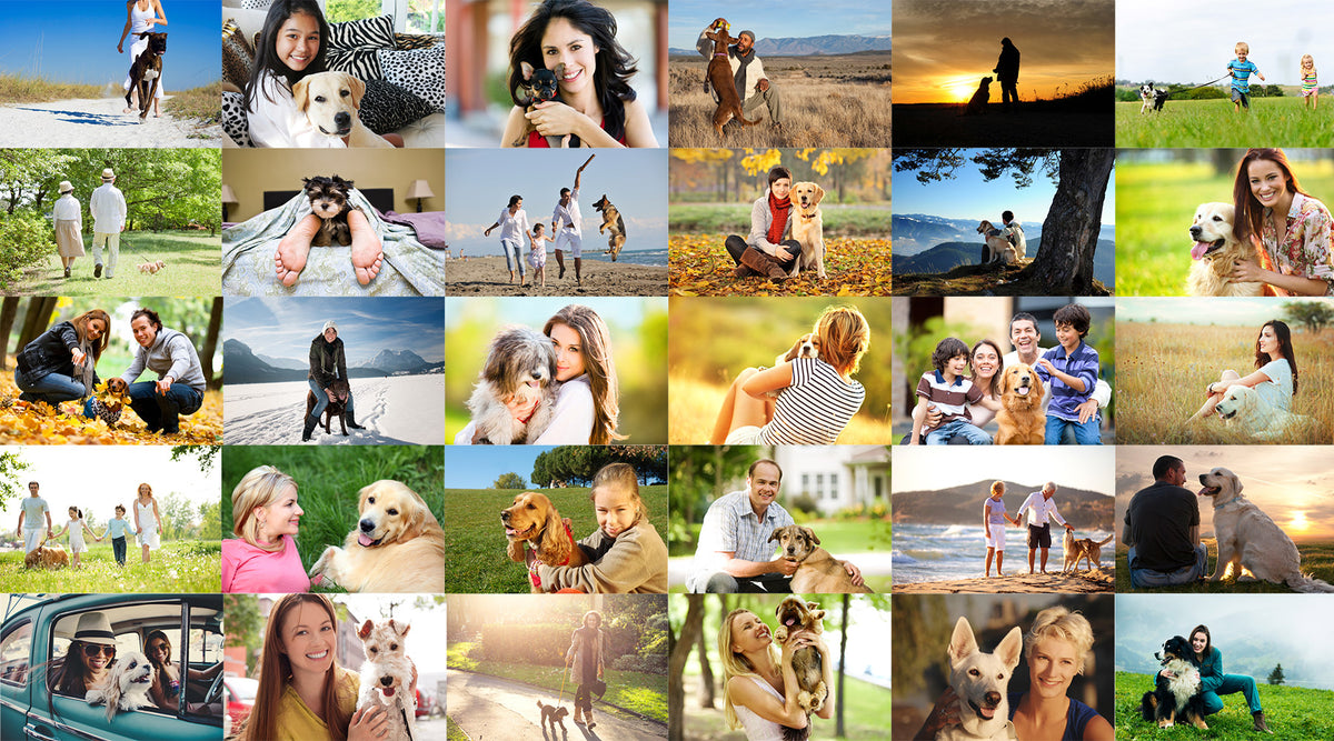 Rover Coffee Table Book of Dogs