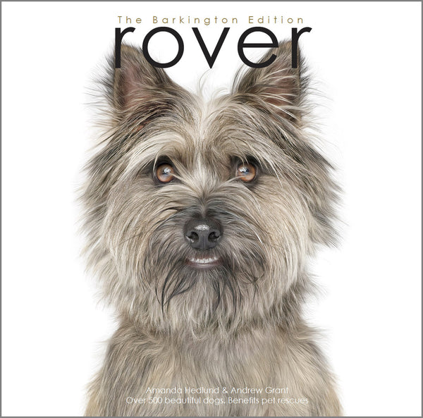 Rover Barkington Edition - RoverWorks