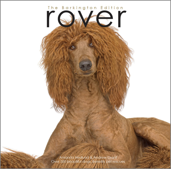 Rover Barkington Edition - RoverWorks